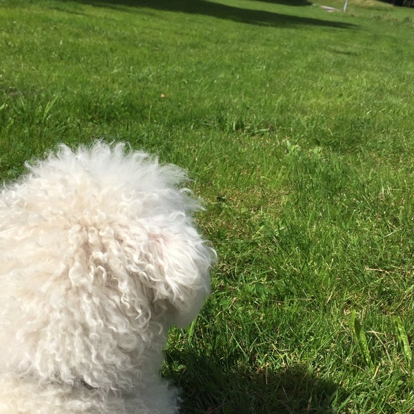 Bulltofta rekreationsområde - Park in Riseberga