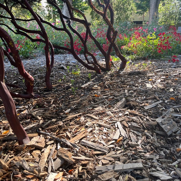 Bay Tree Park - Baywood - Fifth St