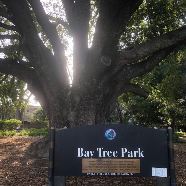 Bay Tree Park - Baywood - Fifth St
