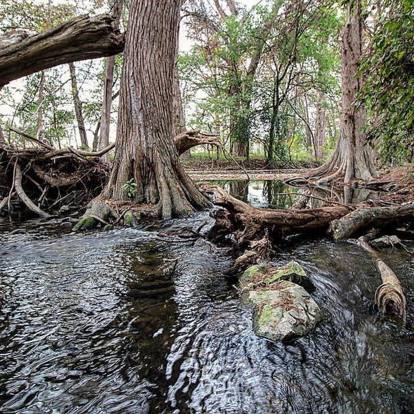 Cibolo Nature Center - 9 tips from 185 visitors