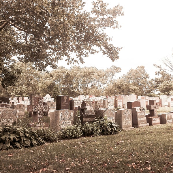 Mount St. Mary Cemetery - Flushing - 3 tips from 258 visitors