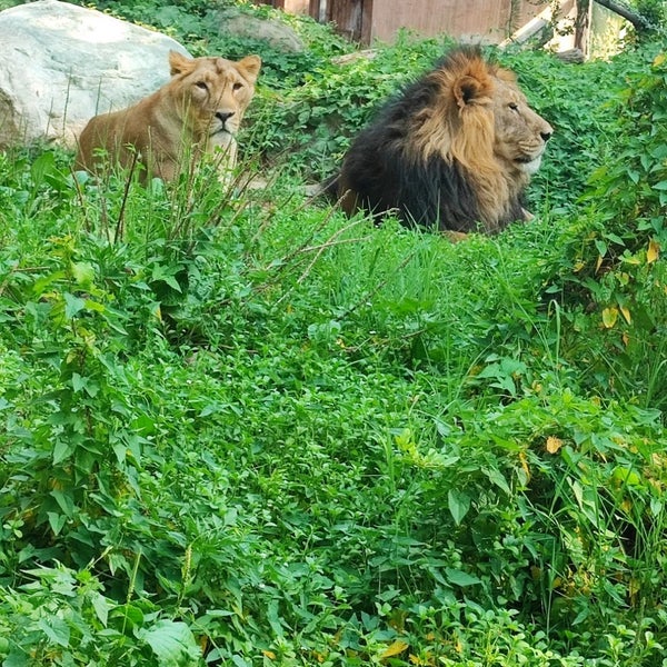 Photos at Tehran Zoo | باغ وحش تهران - منطقه ۵ - Eram Park