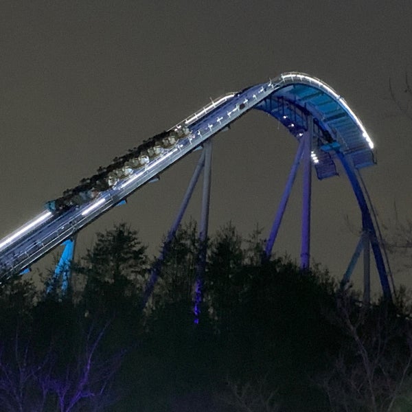 Wild Eagle - Dollywood