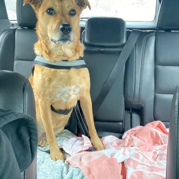 Magic Bagels - Bagel Shop