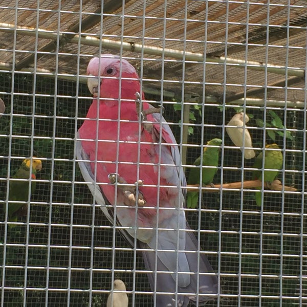 Noah's Ark Animal Habitat - Zoo in Locust Grove
