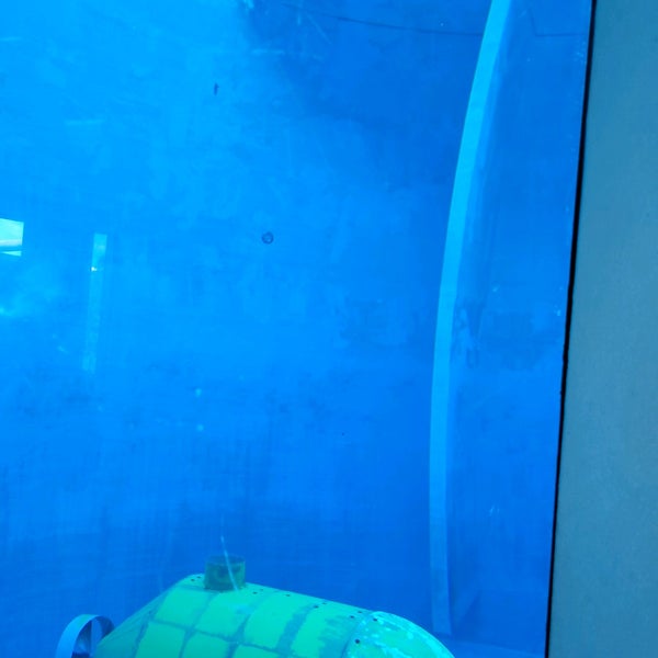 Duiktank - Dive Spot in Zwevegem