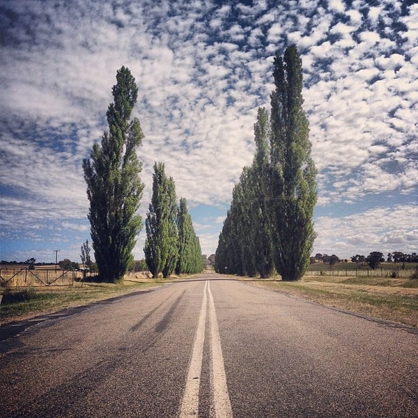 Boorowa - Boorowa, Australia