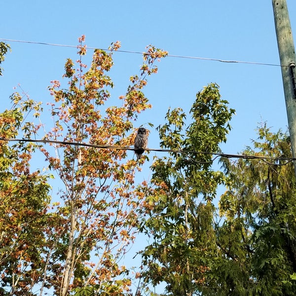 Sandwell Provincial Park - 1 tip