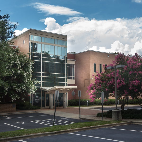 Charlotte Mecklenburg Library - South County Regional - Rain Tree ...