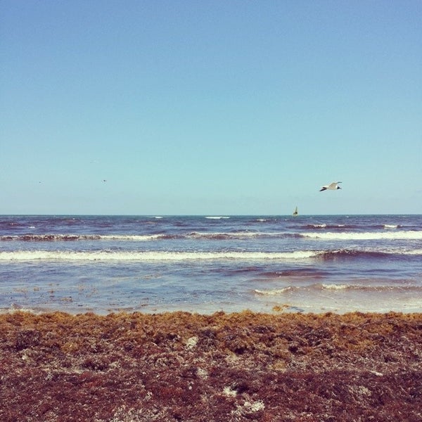 Photos at Whitecap Beach - Padre Island - Corpus Christi, TX