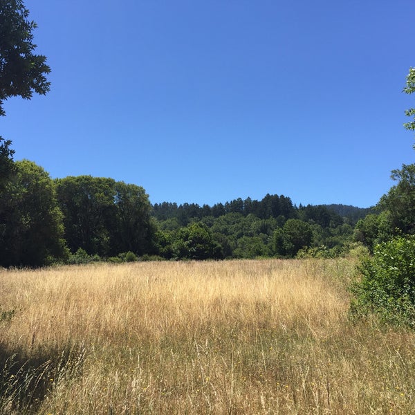 Earthquake Trail - Hiking Trail in Point Reyes Station