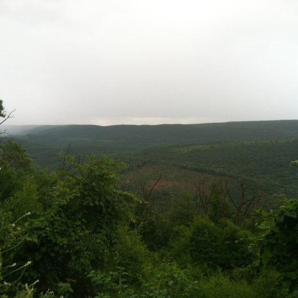 Tuscarora State Forest - Blain, PA