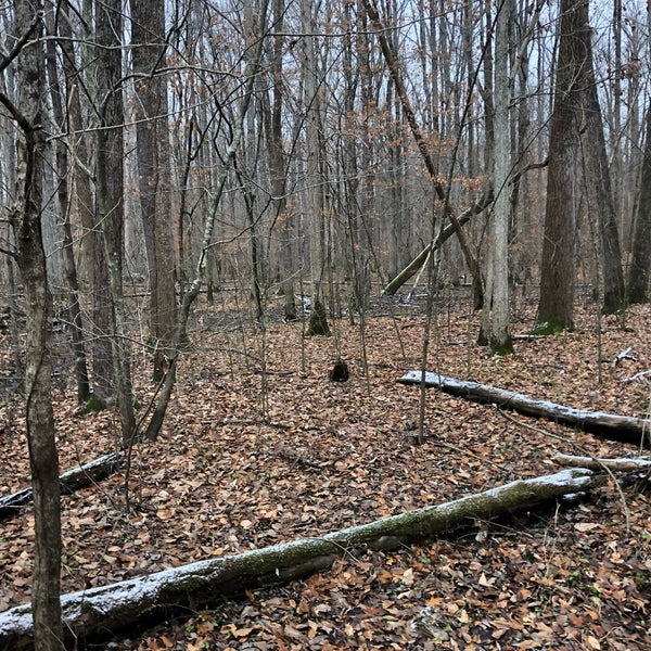 Photos at Muscatatuck National Wildlife Refuge - 1 tip from 115 visitors