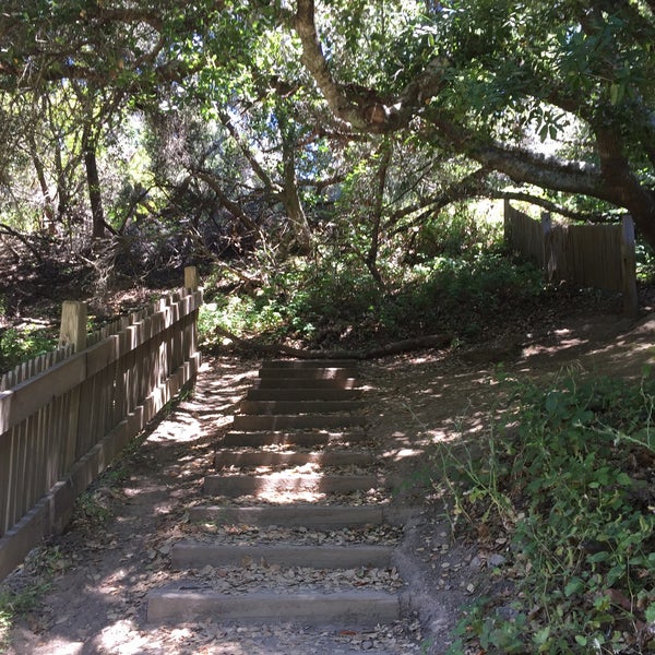 Earthquake Trail - Hiking Trail in Point Reyes Station