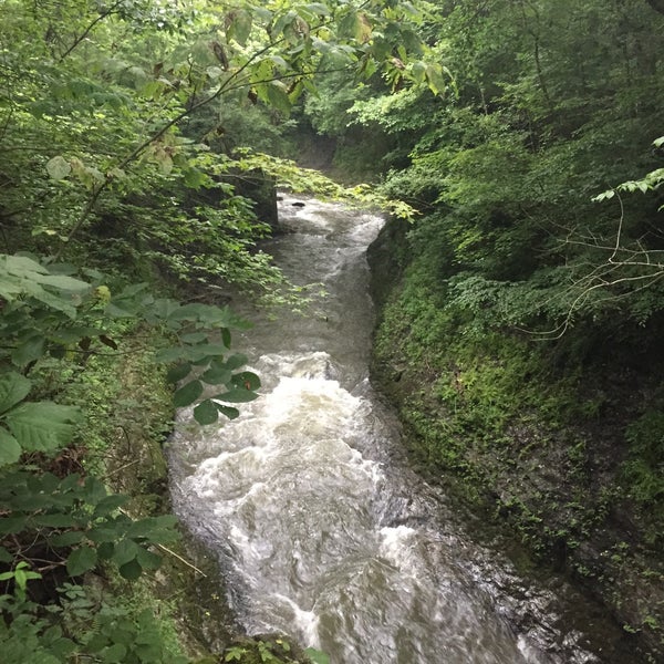 Clifton Gorge State Nature Preserve - 2381 State Route 343