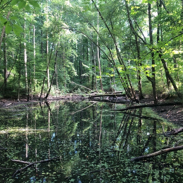 Photos at Muscatatuck National Wildlife Refuge - 1 tip from 115 visitors