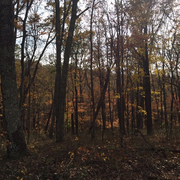 Brown County State Park - State or Provincial Park