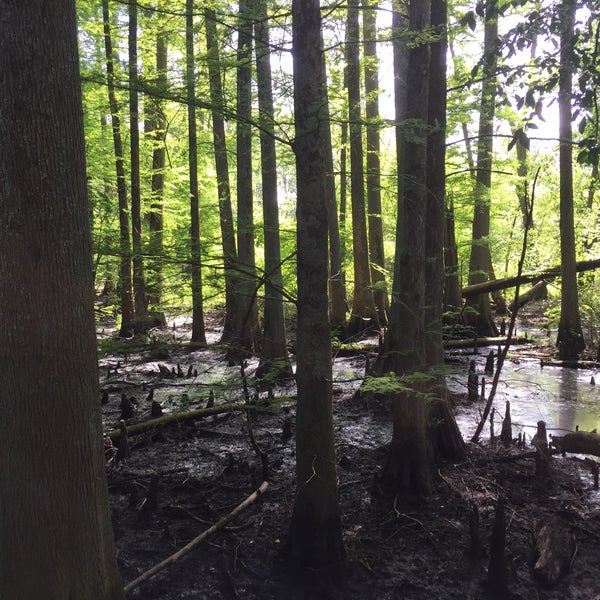 Wheeler National Wildlife Refuge - Decatur, AL