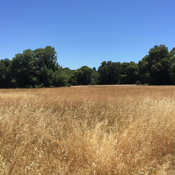 Earthquake Trail - Hiking Trail in Point Reyes Station