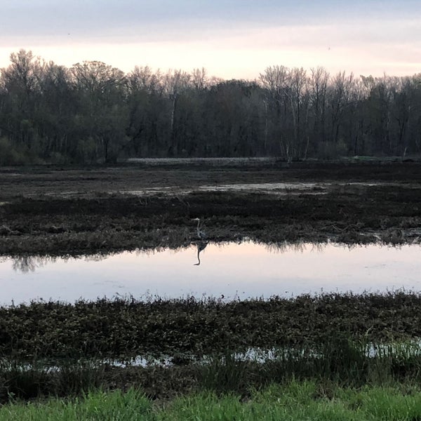 Photos at Muscatatuck National Wildlife Refuge - 1 tip from 115 visitors