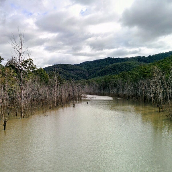 Nerang River - Surfers Paradise, QLD