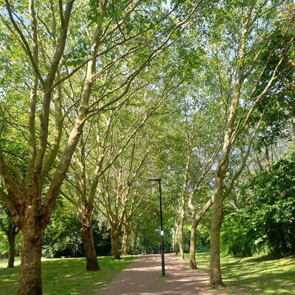 Wapping Woods - Wapping, Greater London