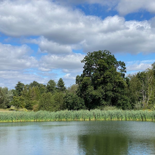 Bedgebury National Pinetum and Forest - Hiking Trail