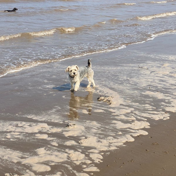 Uphill Beach - End of Links Rd