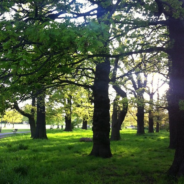 Tooting Graveney Common - Furzedown - 1 tip from 47 visitors