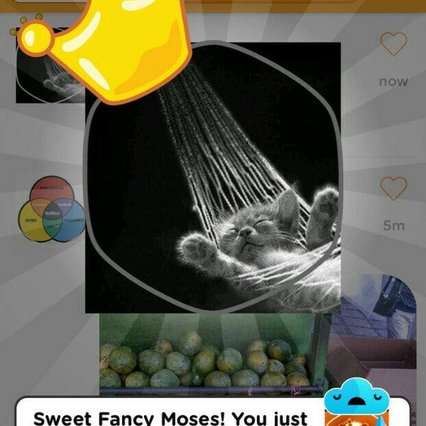 Oceanic Time Warner Cable - 1 tip