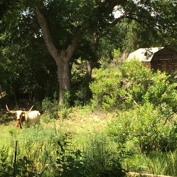 Crockett Gardens And Falls Address | Fasci Garden