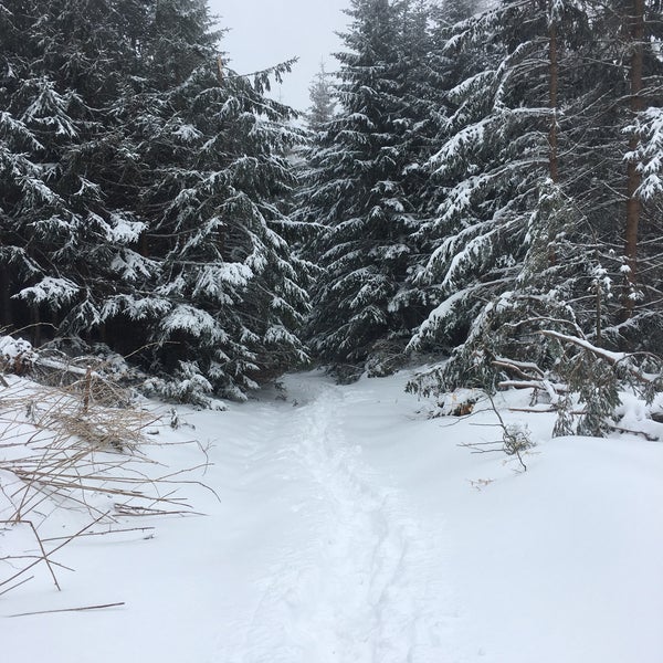 хижа Горски Рай - Bed and Breakfast in Belogradchik