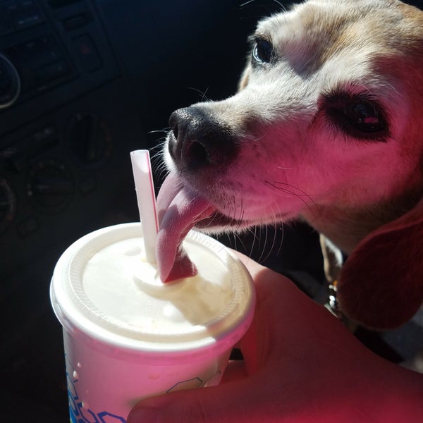 Adrian's Custard & Beef - Ice Cream Parlor in Grand Island