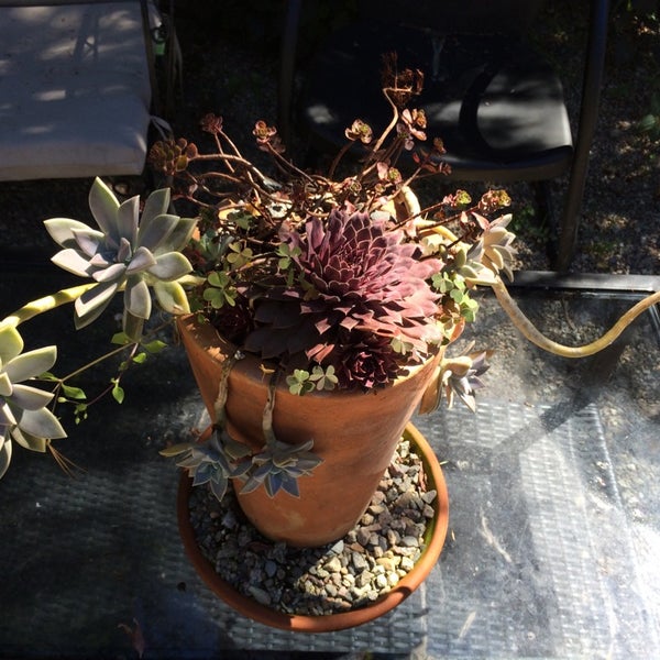 Seven Arrows Farm - Farm