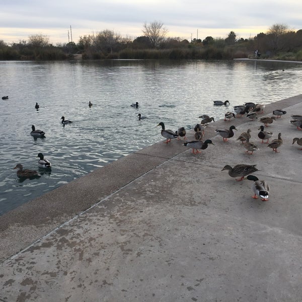Photos at Gilbert Riparian Preserve at Water Ranch - Gilbert, AZ