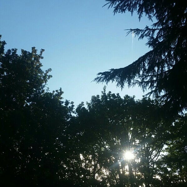 Howell Park - Park in Madrona