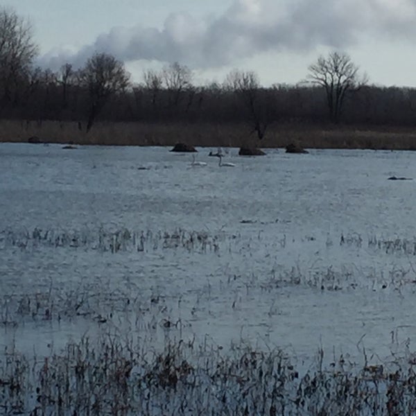 Ottawa National Wildlife Refuge - 14000 W State Route 2