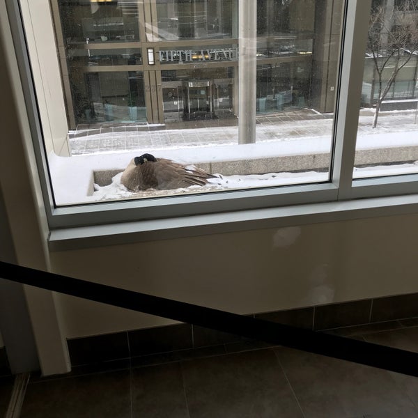 BP Centre - Office in Calgary