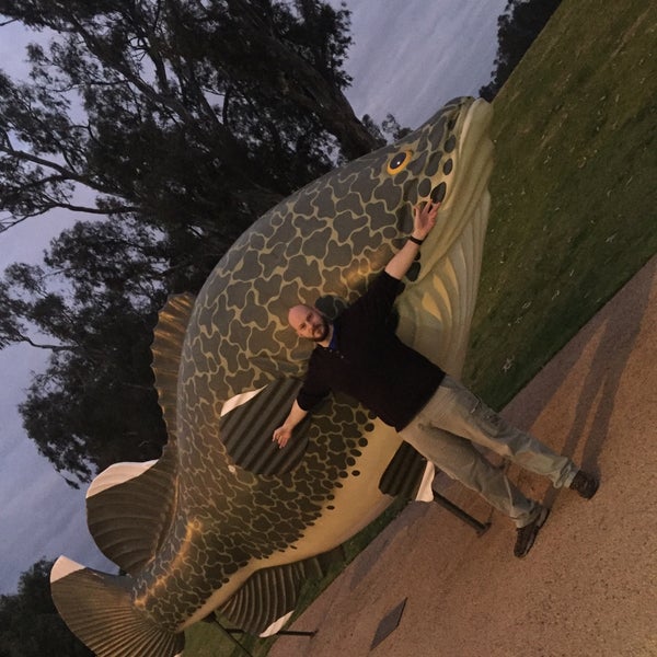 The Big Murray Cod - Monument in Tocumwal