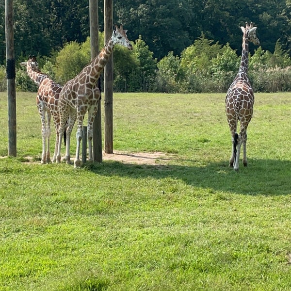 Cape May Zoo