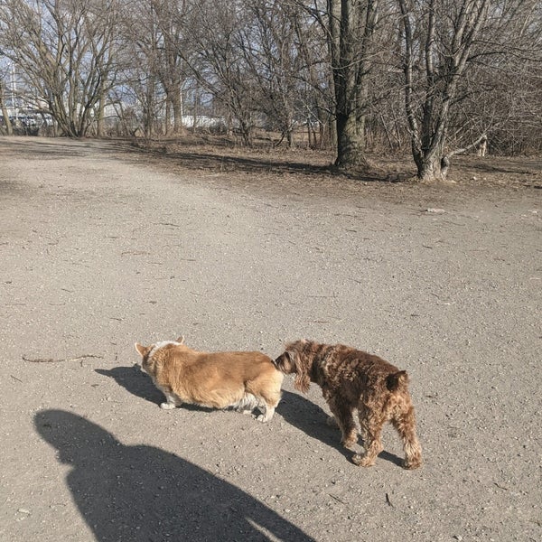 Cherry Beach Off-Leash Dog Area - Port Lands - Toronto, ON