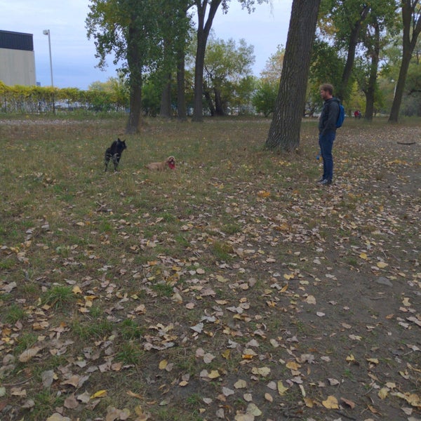 Cherry Beach Off-Leash Dog Area - Port Lands - Toronto, ON