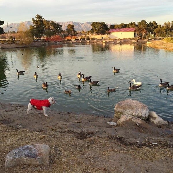 Craig Ranch Regional Park - 22 tips