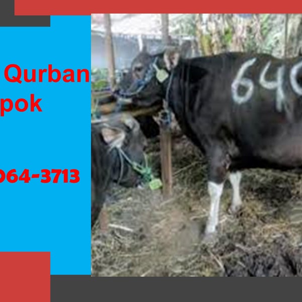 UPN "Veteran" Jakarta (Kampus Limo) - 25 visitors