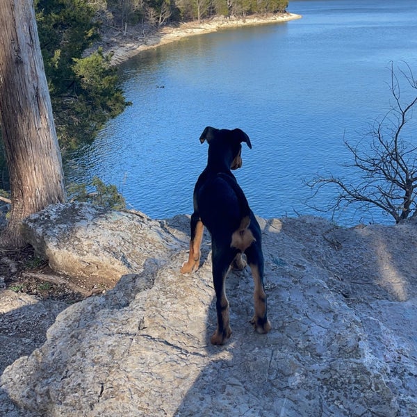 Long Hunter State Park - State or Provincial Park