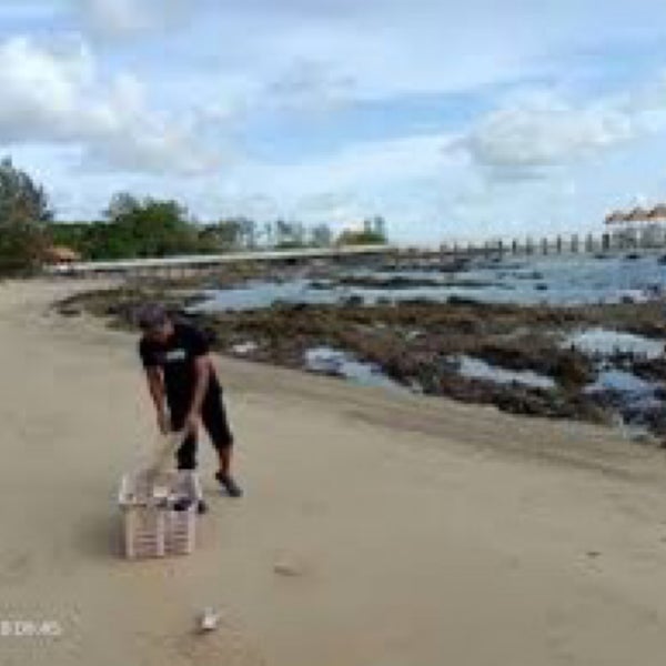 Batu Layar beach resort - Beach in Pengerang