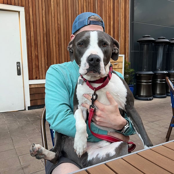 The Salt Line - Arlington, VA