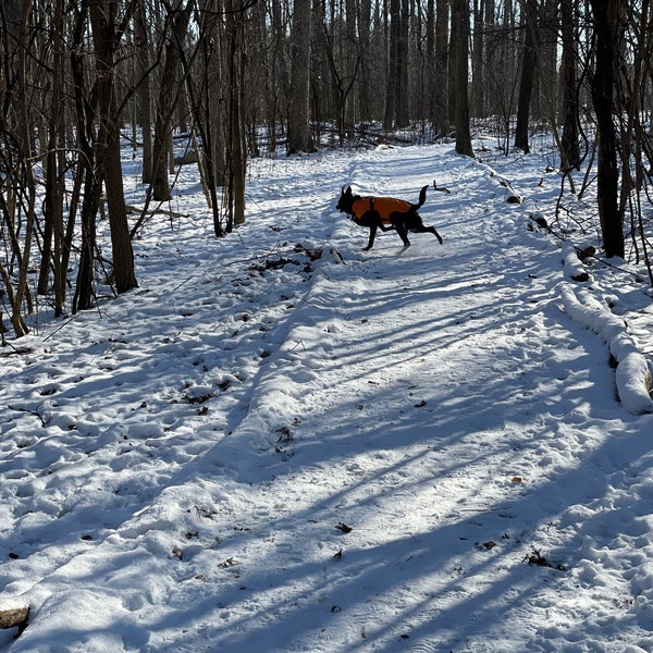Philipp J. Huber Park - Park in Downtown Troy
