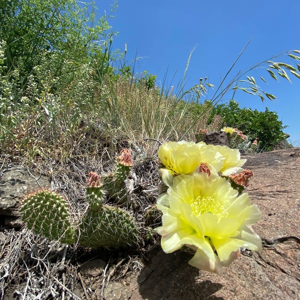 Table Mountain - Golden, CO