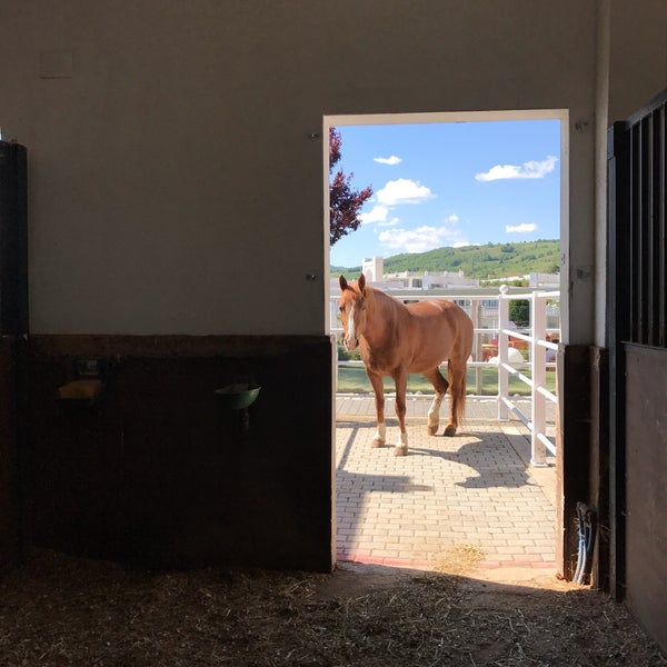 Photos at Vali Ranch, Gjilan - Përlepnic